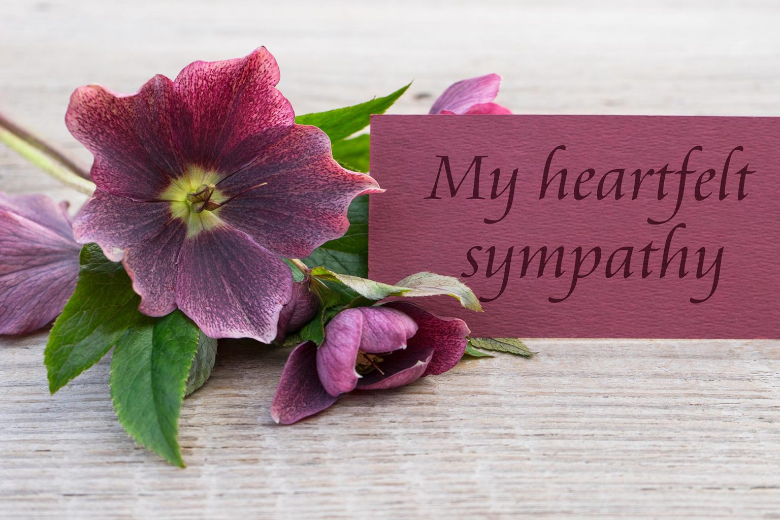 Funerals - Reflections of the Heart